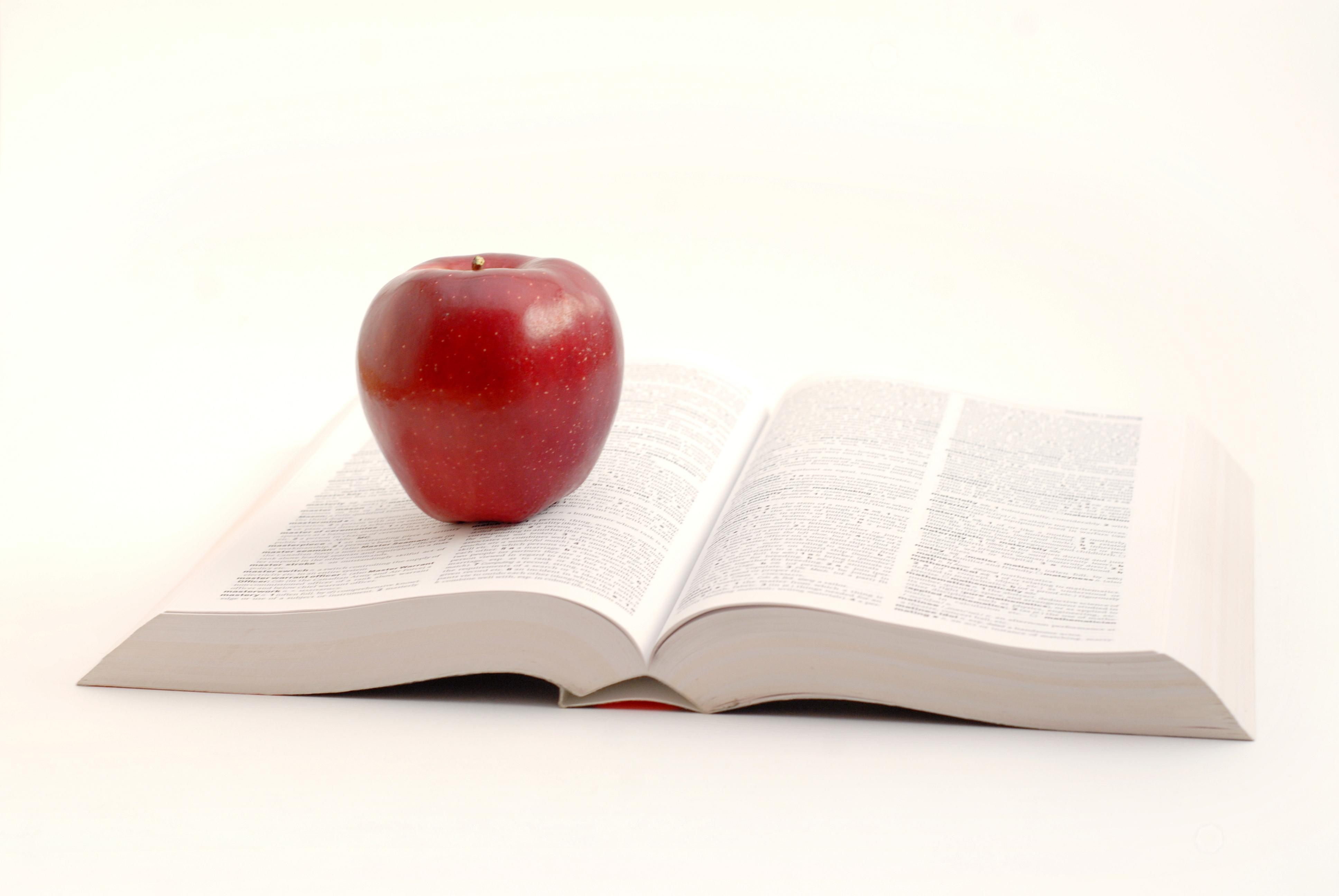 Apple Dictionary Transcript Maker apple-dictionary-transcript-maker